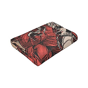 Baki The Grappler Ultra-Soft Micro Fleece Blanket Super Soft Throw Blanket Flannel Fleece Blanket for Couch Bed Sofa Travelling Camping 80"x60"