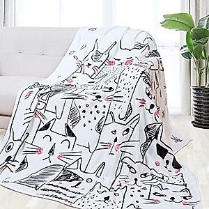 BQH Cat Throw Blanket for Cat Lovers Cute Blankets Cat Plush Blanket Cat Blanket for Women Cat Themed Gifts for Women (50 * 60inchs,NewCat6)…