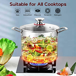 Onader 12QT Large Stainless Steel Stock Pot with Lid Tri-ply Cooking Soup Stockpot