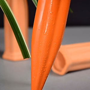 MorTime Plant Watering Devices, Plant Waterer Self Watering Terracotta Spikes Automatically Water Your Indoor and Outdoor Plants While On Vacation (6pc)