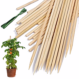 Bamboo Plant Stakes,HAINANSTRY Wood Plant Supports,Natural Bamboo Sticks for Plants/Floral/Potted Plant,Wooden Sign Posting Garden Sticks - 16 Inches 25 Pack