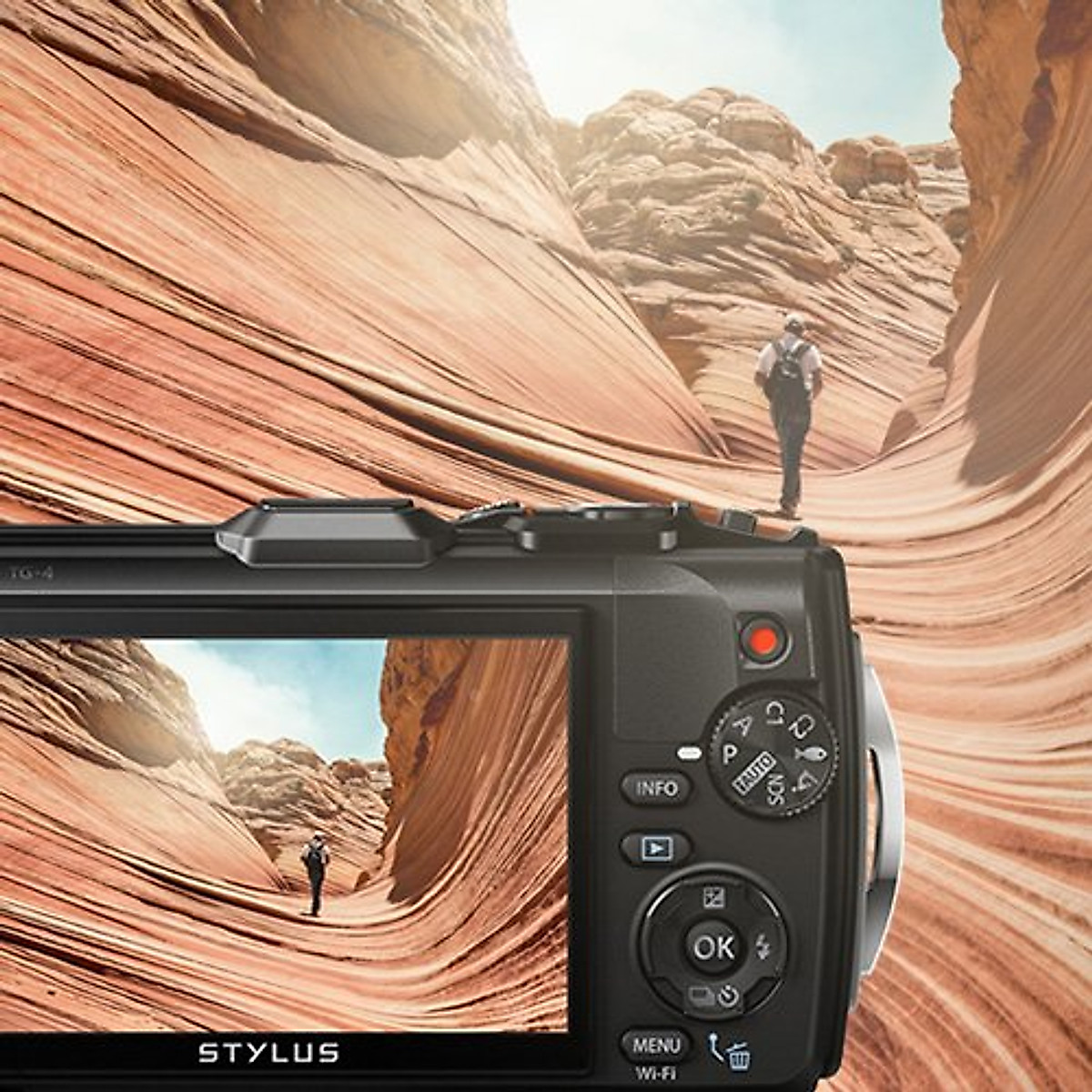 Olympus STYLUS Tough TG-4 16MP 1/2.3" BSI CMOS 4608 x 3456pixels Black - Cámara digital (Compact camera, 1/2.3", BSI CMOS, 4608 x 3456 pixels, 4608 x 3456, 3264 x 2448, 2048 x 1536, 640 x 480, 1:1, 3:2, 4:3, 16:9)