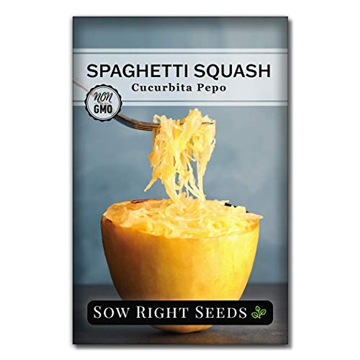 Sow Right Seeds - Spaghetti Squash Seed for Planting - Non-GMO Heirloom Packet with Instructions to Plant a Home Vegetable Garden