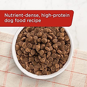 Rachael Ray Nutrish PEAK Natural Dry Dog Food, Open Prairie Recipe with Beef, Venison & Lamb, 23 Pounds, Grain Free (Packaging May Vary)