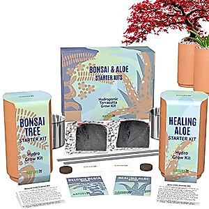 Bonsai Tree and Aloe Vera Plant Starter Kit, Sow and Grow Bonsai and Healing Aloe, Aloe Vera and Bonsai Tree Seeds with Indoor Self-Watering Terracotta Planter Pots, Plant Lover Gift & DIY Adult Craft