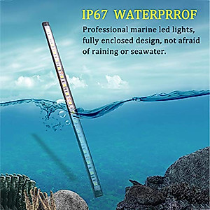 Botepon Navigation Led Lights For Boats , Red and Green Bow Lights, Boat Night Fishing Lights, Deck Lights, IP67 Waterproof for Pontoon Boat Bas Boat Dinghy Kayak Jon Boat Yacht