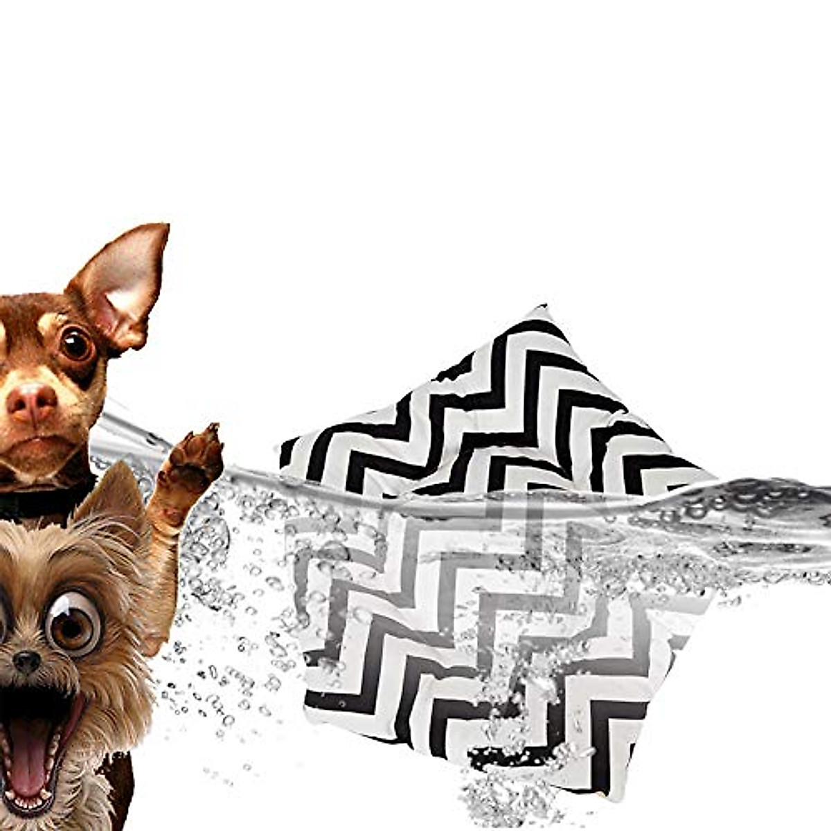 Pet Teepee Tent for Dogs Puppy Cat Bed White Canvas Dog Cute House Pet Teepee with Cushion 24inch Indoor Outdoor (White&Black)