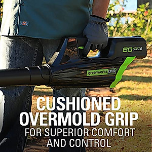 Greenworks Pro 80V (125 MPH / 500 CFM) Cordless Axial Leaf Blower, 2.0Ah Battery and Charger Included GBL80300