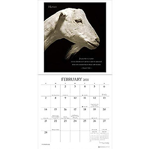 I Am Goat 2021 Calendar