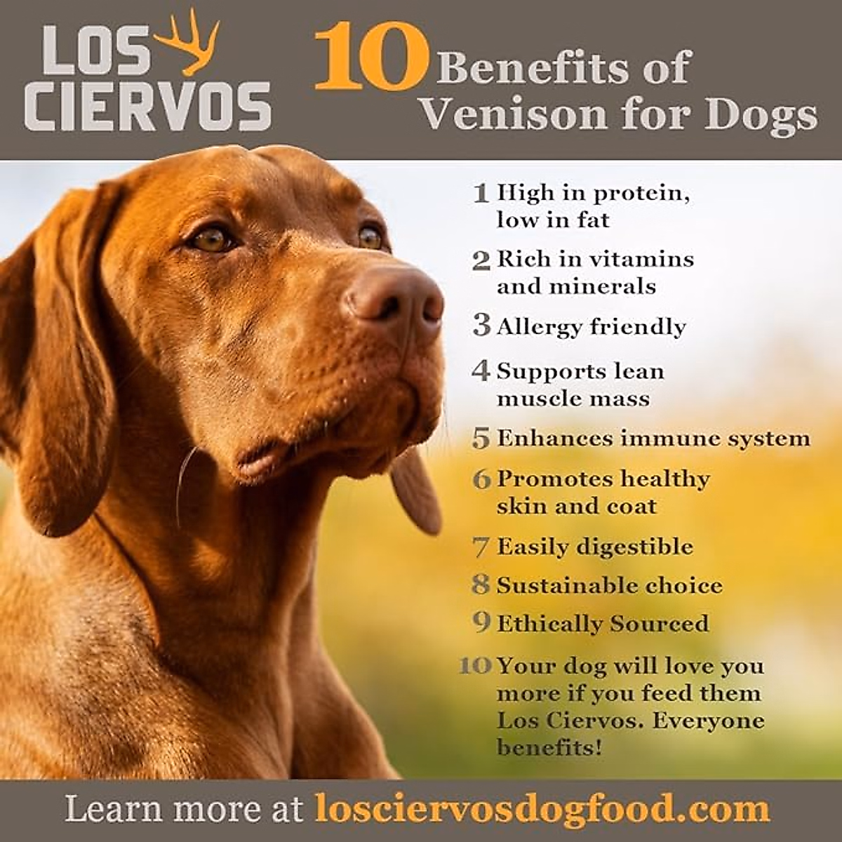 Los Ciervos Venison Jerky Dog Treats