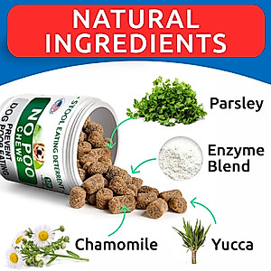 NO Poo Treats - Prevent Dog Poop Eating - Coprophagia Treatment - Stool Eating Deterrent - Probiotics & Enzymes - Digestive Health + Breath Aid - Made in USA - 180 Chews