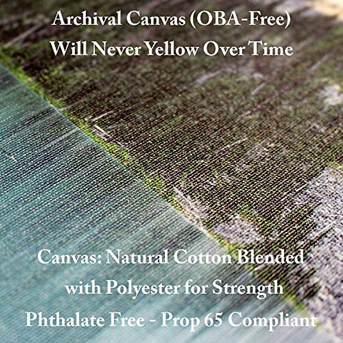 Trademark Fine Art, 24x24 French Flower Shop v2 by Danhui NAI