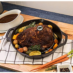 HIC KItchen Roasting Instant-Read Digital Meat Thermometer, Shatterproof LCD Display, Stainless Steel with Protective Sheath and Internal Temperature Chart