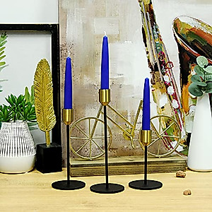 Zest Candle 12-Piece Taper Candles, 6-Inch, Blue