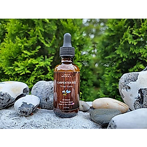 Carpenter Bee Trap Lure Attract More Bees to Your Traps All Natural Wood Bee Attractant