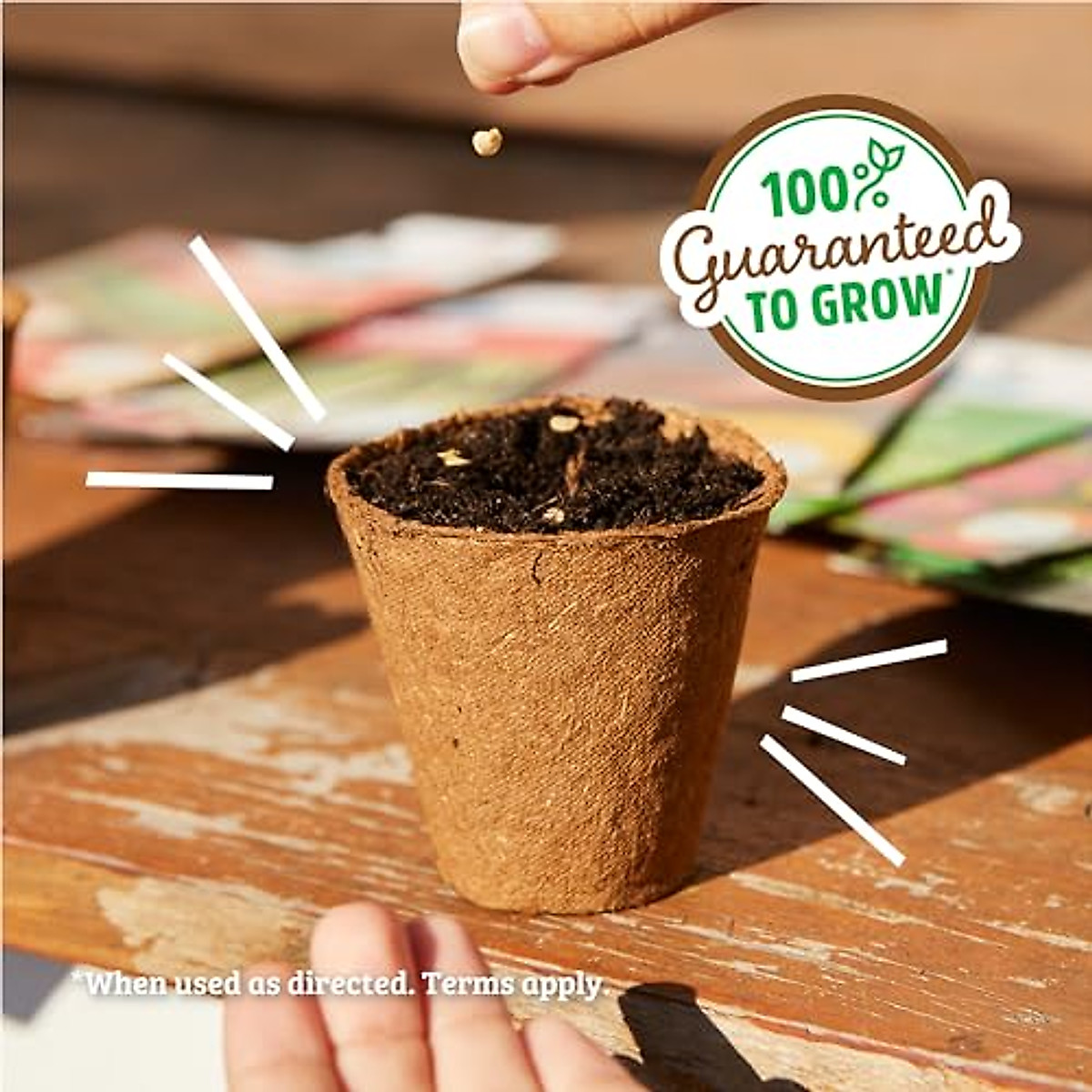 Back to the Roots Organic Seed Bundle - Herbs and Vegetables Variety Pack for Planting - Assorted Non-GMO Seed Mix for Beginner Indoor and Outdoor Gardening, (Pack of 20)