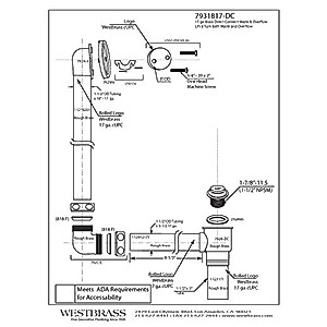 Westbrass 7931817-DC-12 18" Tip-Toe Drain Trim with 2-Hole Overflow Faceplate & Direct Connect Shoe Outlet, Oil Rubbed Bronze