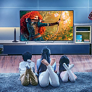 Amplified HD Digital TV Antenna, 300 Miles Long Range Reception Indoor HDTV Antenna with Amplifier, Support 4K 1080P VHF UHF TV Channels