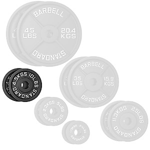 Philosophy Gym Set of 2 Standard Cast Iron Olympic 2-inch Weight Plates (10 LB each)