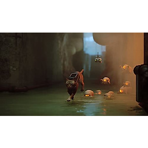 Stray - PlayStation 5