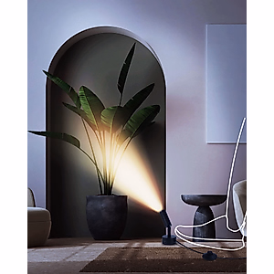 Fabbay 4 Pcs Spot Lights Indoor LED Spotlight Multi Purpose Indoor Plant Lights Portable Uplights Warm Accent Light 3W 3000K Warm Spotlight Lamp for Table Wall Decoration, Black