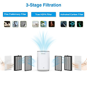Storebary Air Purifier Replacement, C350-RF True HEPA High-Efficiency Activated Carbon Air Filter Fits for C350 (4 Pack)