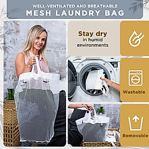 BeeDaul Laundry Hamper 2 Section with Lid, Wheels Made of Synthetic Rattan - Includes 2 Removable Mesh Laundry Bags, Foldable, with Handle - Laundry Sorter and Organizer, Bathroom Essentials