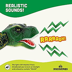 Sun Company DinoBryte - Adjustable Strap, Battery Powered Flashlight with Realistic Dinosaur Roar Sound, Perfect for Children Ages 6 and Up