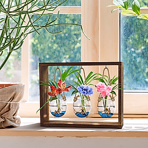 Grovind Plant Propagation Stations, Desktop Air Plant Terrarium with Wooden Stand Propagation Station, Propagator Glass Planters for Hydroponics Plants Home Office Gift for Woman