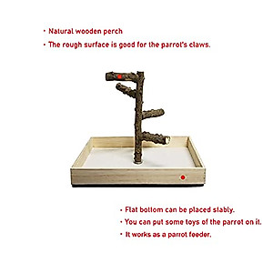 Hamiledyi Bird Perch Stand Tabletop,Parrot Playground Bird Gym Natural Wooden Perch PlayStand Platform for Parrots Parakeets Canaries Cockatiels Conure Lovebirds