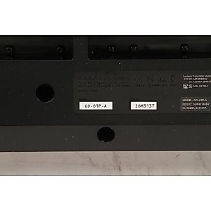 Roland GO:PIANO 61-key Digital Piano Keyboard with Alexa Built-in (GO-61P-A)