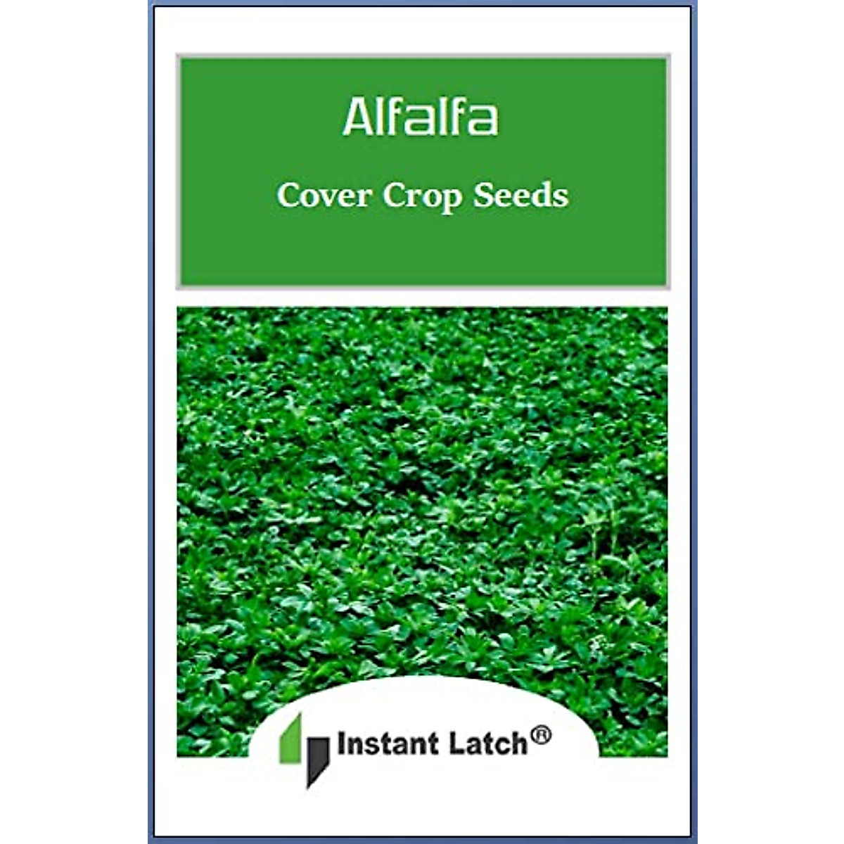 500 Alfalfa Cover Crop Seeds | Non-GMO | Heirloom | Fresh Garden Seeds