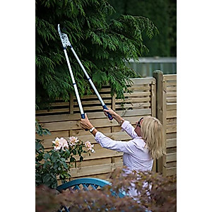 Spear & Jackson 8290RS Razorsharp Heavy Duty Telescopic Ratchet Anvil Loppers, Multicoloured