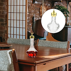 Healifty 3 pcs Bitter Antique Sprayer Bartender's Tools Bar Hand Clear Dispenser Mixer Ml Syrups Craft Mixing Wine Vintage Making Leakproof Bottle Professional Bartending Dasher Handblown