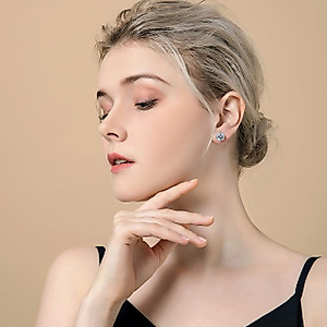 Silver Cubic Zirconia Stud Earrings - 925 Sterling Silver Crystal Round Diamond Rhinestone CZ Halo Studs Earrings for Women Men Everyday Earrings