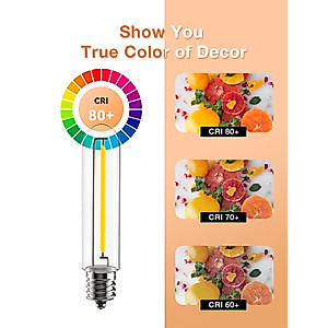 LED Replacement Bulbs 1W T13, 4 Pack Waterproof E12 Screw Base for Outdoor LED String Lights Shatterproof, for Indoor and Outdoor Use