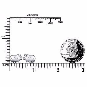 Yearace 925 Sterling Silver Cute Animal Hamster Pet Gerbil Guinea Pig Stud Earrings for Women Daughter Birthday
