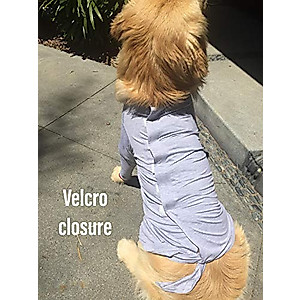 Short Sleeve Shirt for Dogs New! from POP FOR PETS (Large Red) - Better Than The Cone! POPforPETS Cotton Shirt for Larger Dogs. The Most Comfortable Alternative for Recovery!