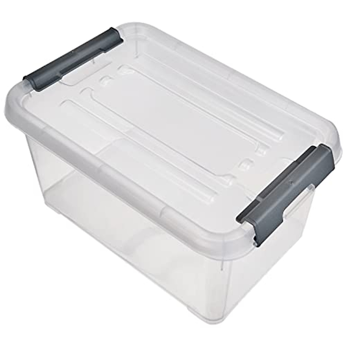 Curver Storage Box Handy Plus with lid 6L in Transparent/Silver, 29.5 x 19.5 x 14 cm