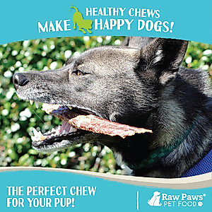 Raw Paws Beef Esophagus Dog Treats, 6-inch, 16-Ounce - Packed in USA - Free Range Beef Esophagus for Dogs - Beef Gullet Sticks for Dogs - Dog Taffy Chews - Beef Jerky for Dogs - Beef Jerky Dog Treats