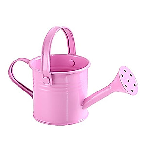 SMLJFO Watering Can for Indoor Outdoor Plants, Modern Style Watering Pot with Handle Sprinkler Head Iron House Garden Flower Long Spout Shower Pink 5.1in