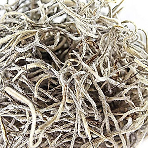 Galápagos (05160) Spanish Moss, Mini Bag