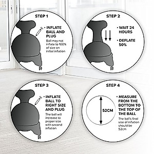 Gaiam Classic Balance Ball Chair – Exercise Stability Yoga Ball Premium Ergonomic Chair for Home and Office Desk with Air Pump, Exercise Guide and Satisfaction Guarantee, Blue