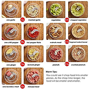 AYOTEE Cordless Electric Small Food Processor, Mini Food Chopper For Garlic Veggie Vegetables Fruit, Salad Mincing & Puree, Kitchen, 1 Cup 250ML, BPA free, Pink