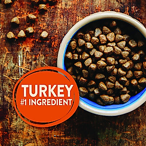 Wellness CORE Grain Free Weight Management Dry Dog Food, Turkey & Chicken Meal, 4 Pound Bag CORE Wet Dog Food Pate, Chicken, 12 Cans, 12.5 Ounce Can