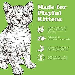 Now Fresh Dry Cat Food for Kittens, Turkey, Salmon and Duck Recipe, 3 lbs - Grain Free, Kitten Food, Made with Real Meat and Fish