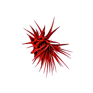 ragnaroc Air Plants - Dyed Tillandsia Ionantha, Regular 2-3" - 1ct - Live Arrival Guaranteed - House Plants for Home Decor & Gift, Jule Red