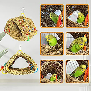 Bird Tent DIY,Bird Sheltering Seagrass Tent Hammock with Colorful Chewing Rope Toys Suit for Parakeets,Cockatiels,Lovebirds, Finch