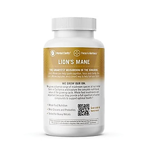 Om Mushroom Superfood Lion's Mane Mushroom Capsules Superfood Supplement, 90 Count, 30 Day Supply, Fruit Body and Mycelium Nootropic for Memory, Focus, Nerve Health and Immune Support