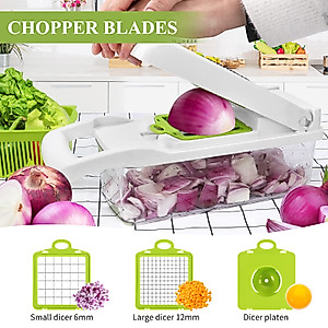 VRJISZTA 13 in 1 Kitchen Vegetable Chopper Slicer Dicer, Food Chopper/Cutter, veggie Chopper with 8 Blades, Storage Container for Egg Onion Tomato Potato Carrot Salad
